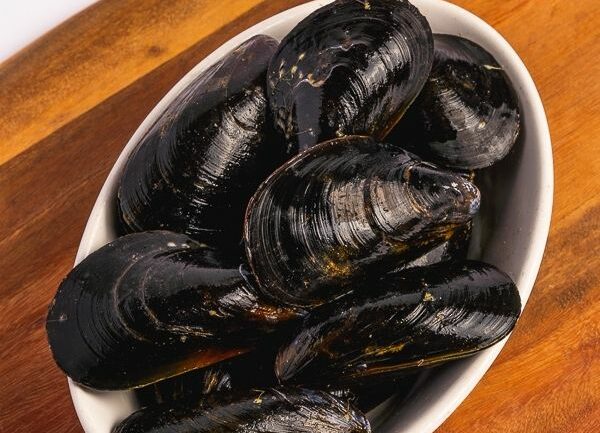 Live Mussels | Swan River Seafood