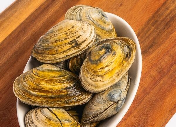 Live Steamers | Swan River Seafood